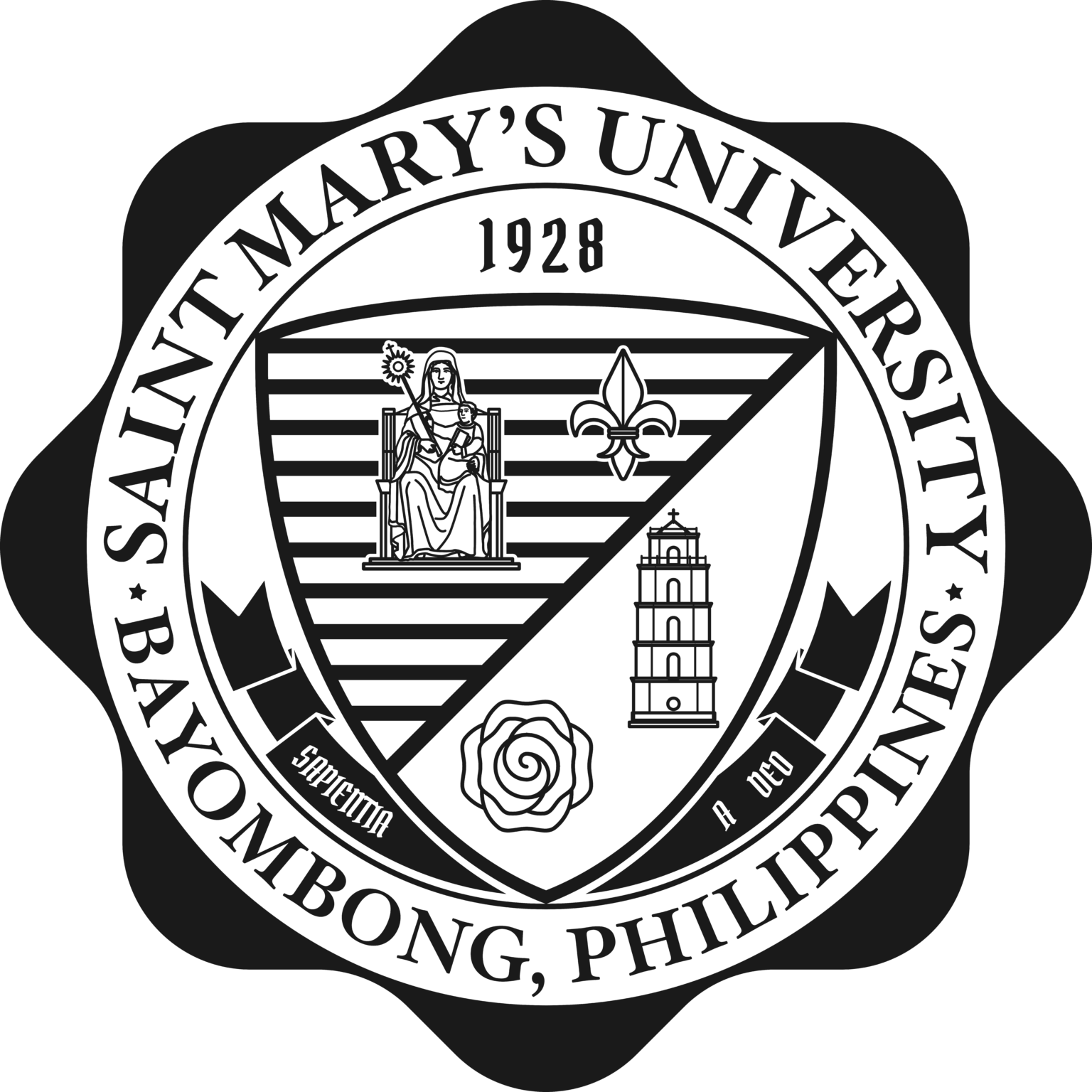 Undergraduate Programs - SMU Official Website